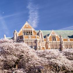 Home | College of Arts and Sciences - Administrative Gateway